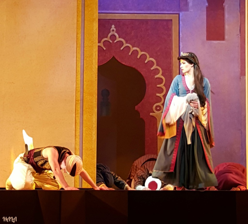 Disney's Aladdin-Musical Spectacular- Comes to an End this Sunday ...